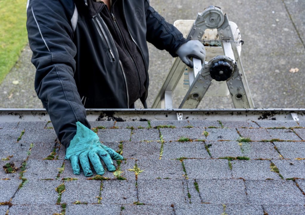4 Best Roof Cleaning Products | Eagle Eye Roofing
